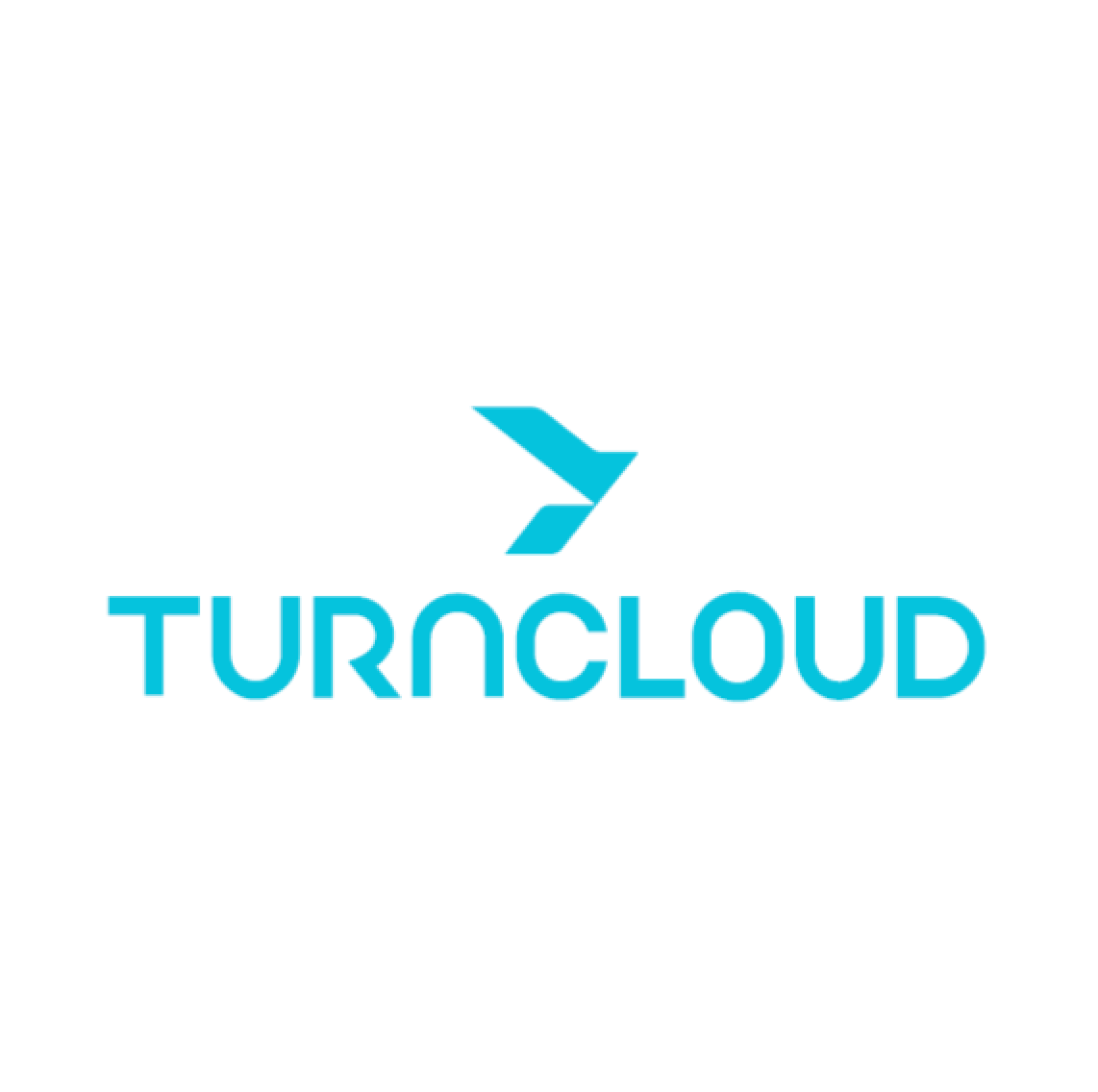 騰雲科技服務股份有限公司/TURN CLOUD TECHNOLOGY SERVICE INC.