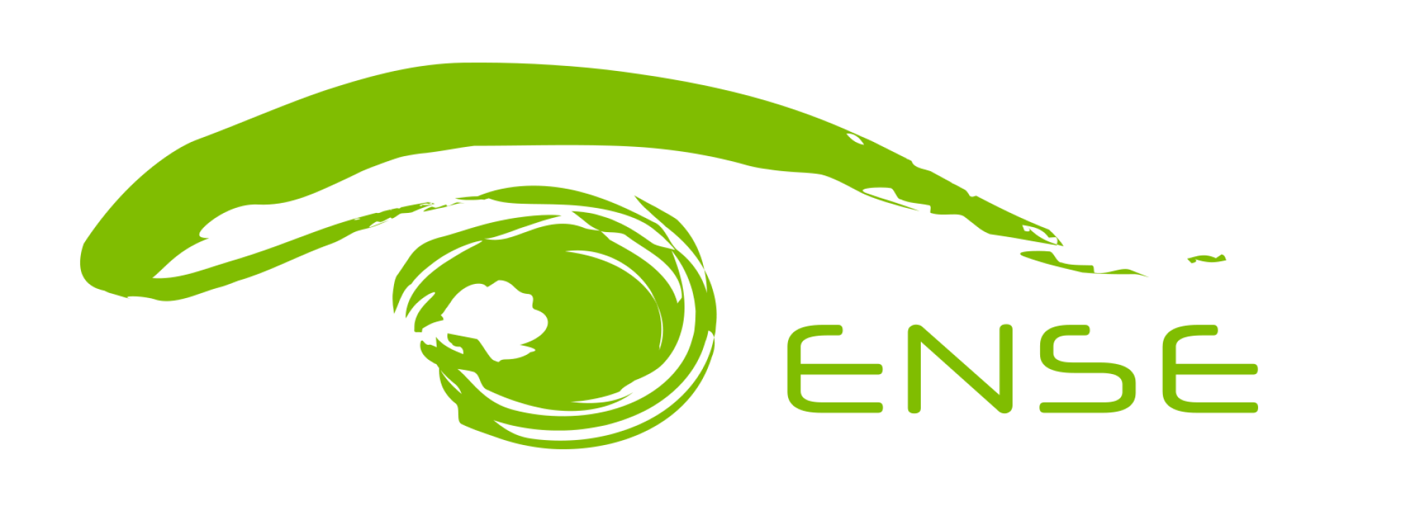 光禾感知科技股份有限公司/OSENSE TECHNOLOGY